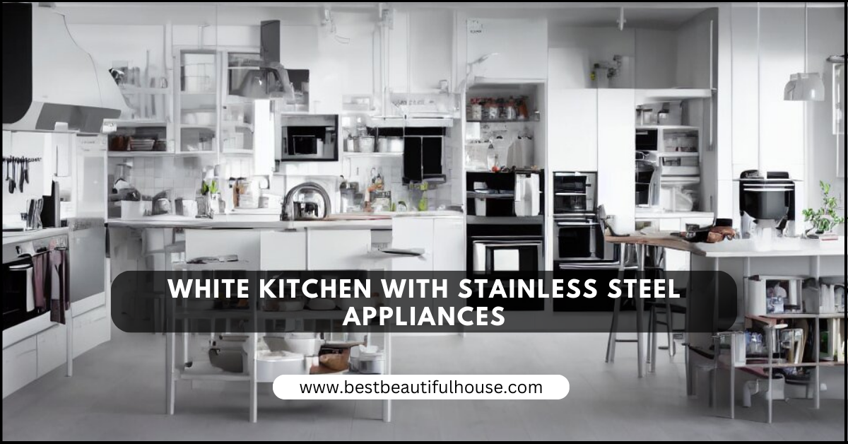 Best 6 Ideas With White Kitchen With Stainless Steel Appliances